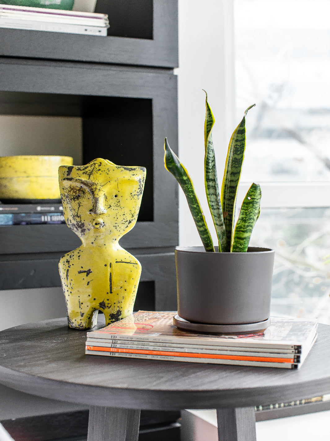Pack Inmortal – PlantMe Chile