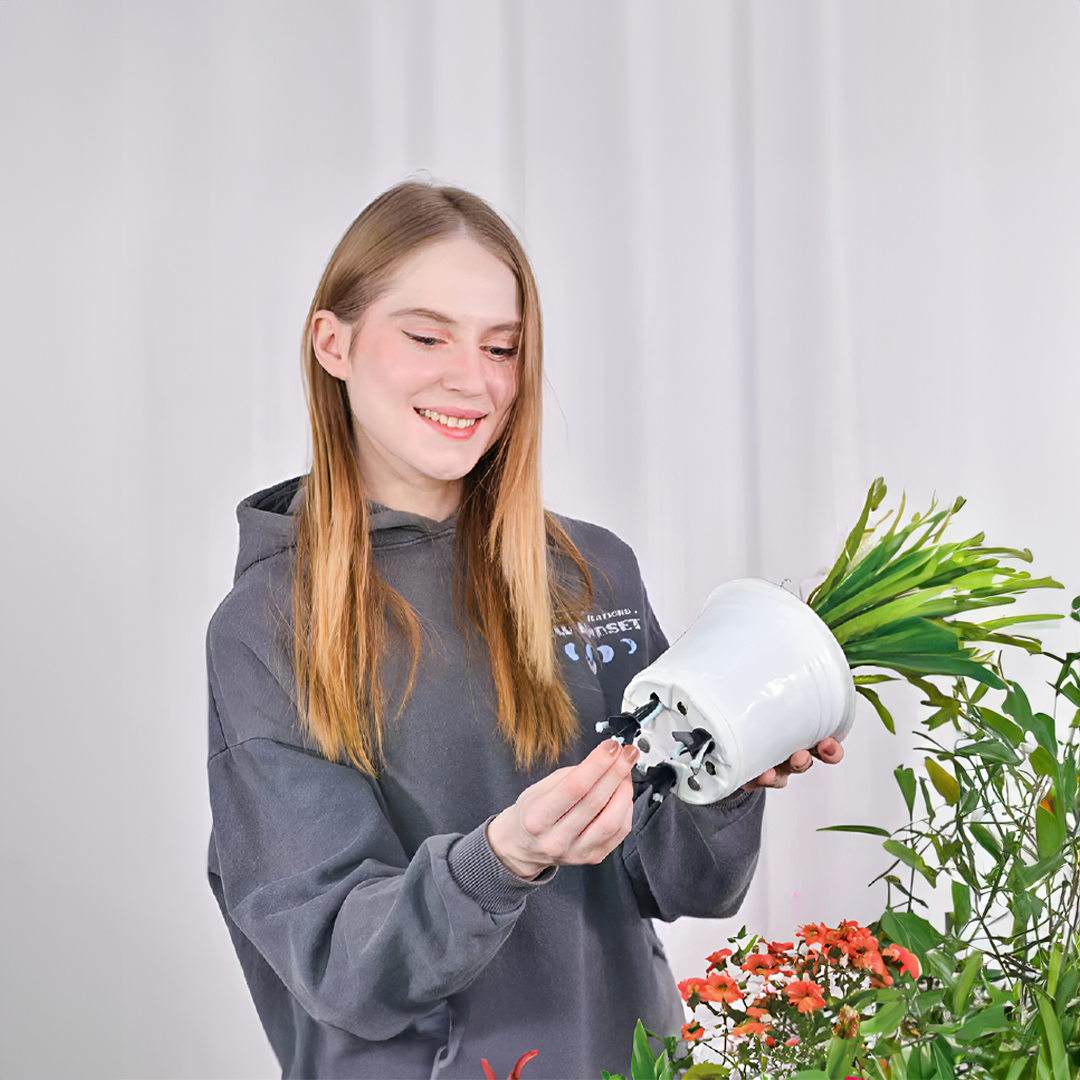 Cómo Usar Hydrus para un Cuidado Óptimo de tus Plantas – PlantMe Chile