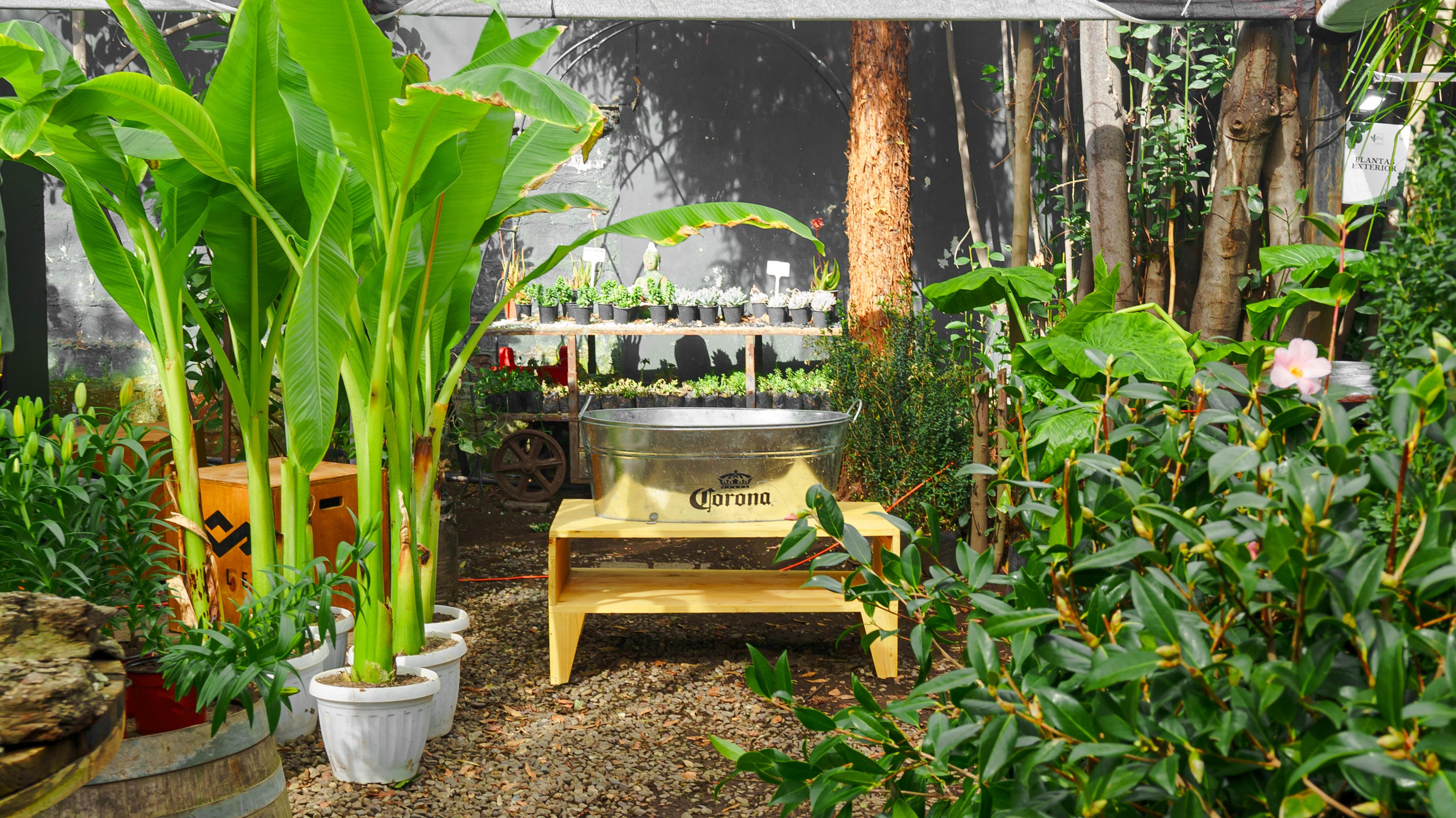 PlantMe Garden Fest 2024 – PlantMe Chile