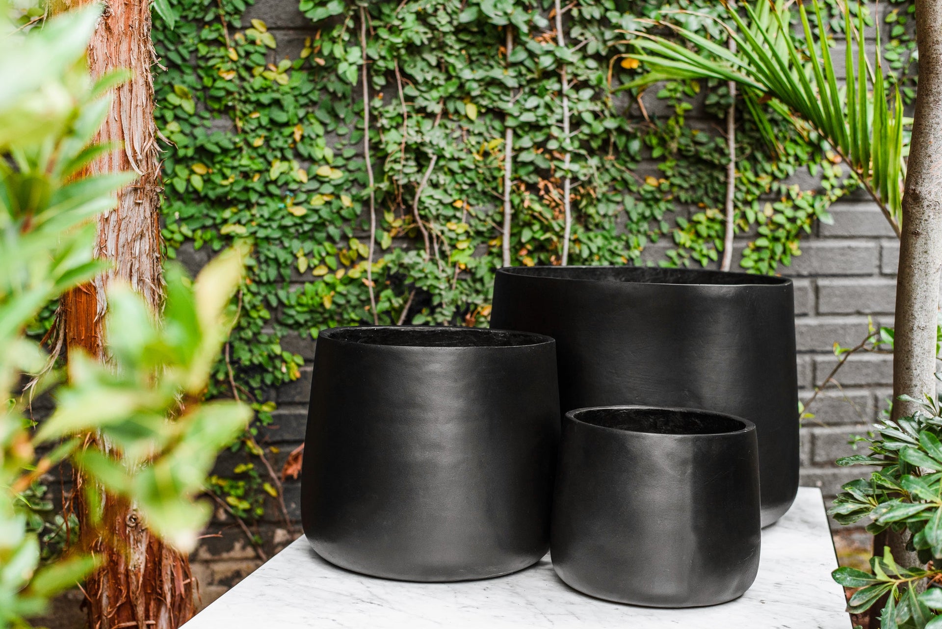 Maceteros Grandes para Plantas interior y/o exterior – PlantMe Chile